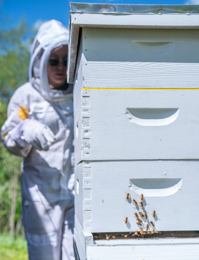 Busy bees: Episcopalian churches care for creation with homes for ...
